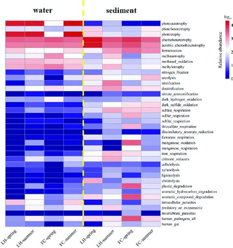 Heatmap Analysis Of Predicted Functions Based On Detected Bacterial