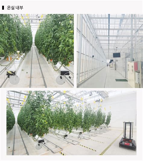 smartfarm witree 최신 iiot nodered mqtt 자료와 제품이 가득한 와이트리
