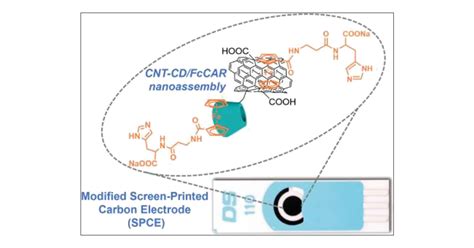 Screen Printed Carbon Electrodes With Cationic Cyclodextrin Carbon Nanotubes And Ferrocenyl