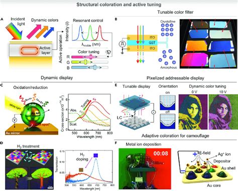 Structural Coloration And Dynamic Functions A Schematic Of Tunable Download Scientific