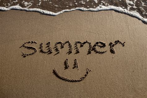 여름 손그림 사진 무료 고품질 사진 다운로드 Freepik