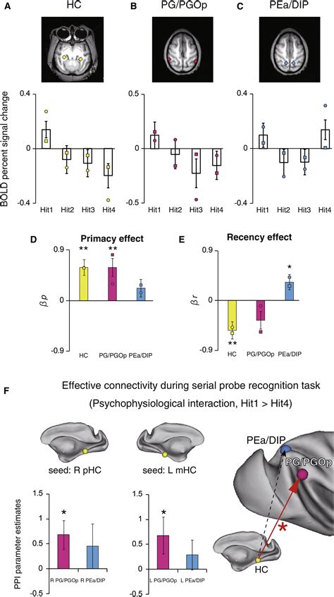 Functional Differentiation Of Memory Retrieval Network In Macaque Posterior Parietal Cortex Neuron