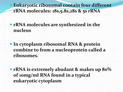 Various Types Rna Pptx