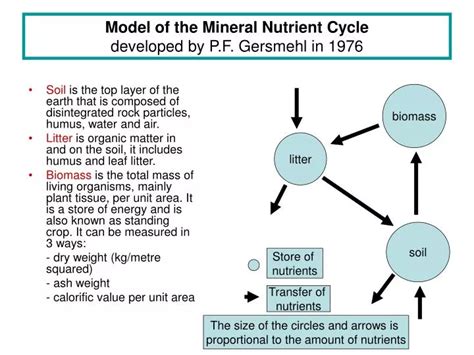 Ppt Model Of The Mineral Nutrient Cycle Developed By P F Gersmehl In 1976 Powerpoint