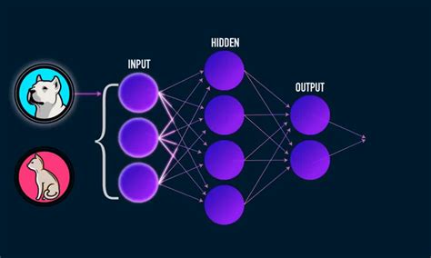 Dat Tran On Linkedin Neuralnetwork Python Deeplearning