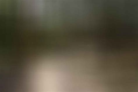 Best Activities In Creswick Vic Ballarat We Are Explorers