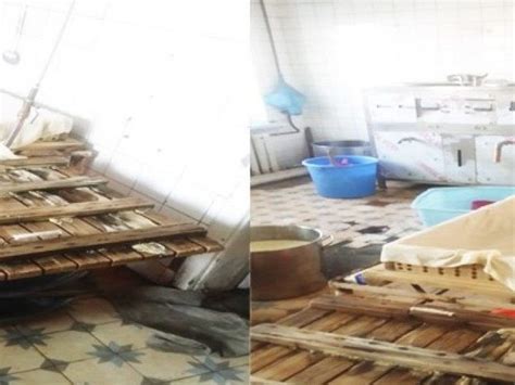 Хэрчсэн гурилын үйлдвэрүүд эрүүл ахуйн шаардлага хангахгүй байгаа нь тогтоогджээ Isee Mn