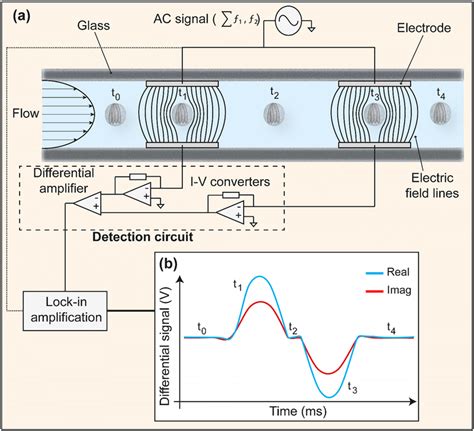 Schematic Showing The Microfluidic Impedance Cytometer A The Download Scientific Diagram