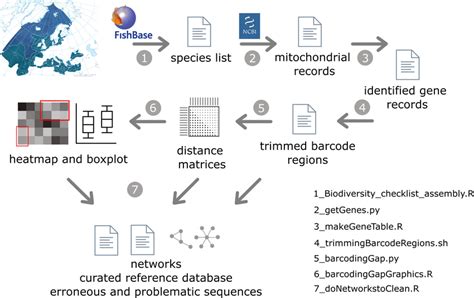 Schematic View Of The Workflow Developed In This Study Numbers Download Scientific Diagram