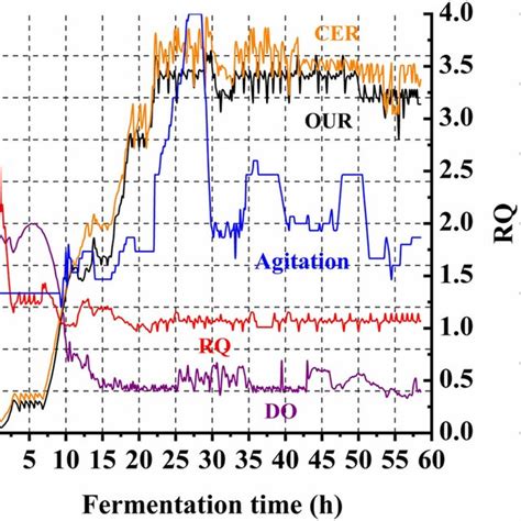 Time Course Of Online Physiological Parameters Of Ammonia Feeding