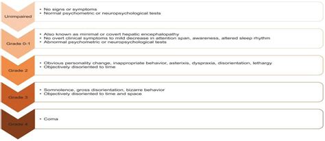 Hepatic Encephalopathy Critical Care Nursing Clinics