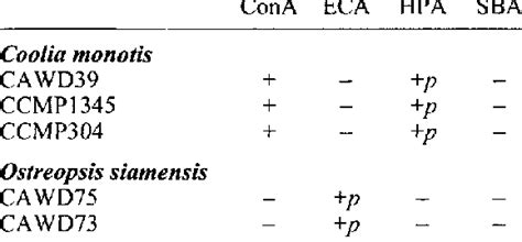 Differential Binding Of Fitc Conjugated Lectins To Coolia Monotis And