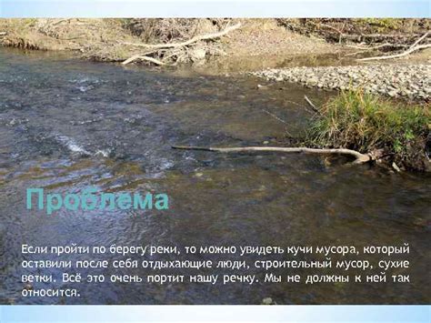 Проект Чистый берег В нашей станице есть