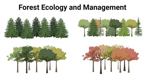 Understanding Forest Ecology And Management