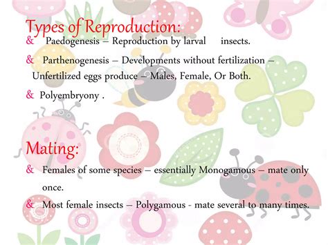 Reproductive System In Insects Pptx