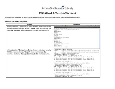 cyb 230 module three lab worksheet shane mallory cyb 230 module three