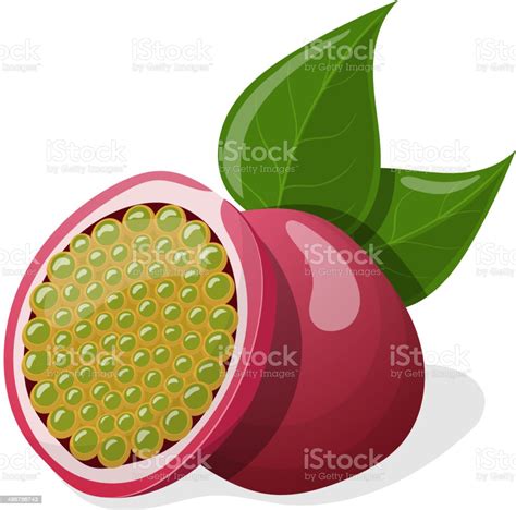 열정 과일을 Leafs 흰색 바탕에 흰색 배경 벡터 일러스트레이션 건강한 식생활에 대한 스톡 벡터 아트 및 기타 이미지 건강한 식생활 과일 다이어트 Istock