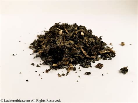 Patchouli Pogostemon Cablin