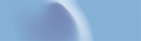 Investors Lattice Medical