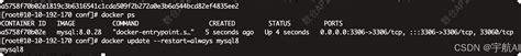 Linux 环境中安装 Mysql 80 的 Docker 部署详细步骤linux Docker 安装mysql8 Csdn博客