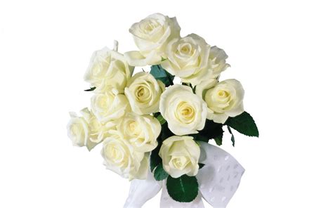 Большой букет белых роз обои для рабочего стола, картинки, фото, 1920x1200.