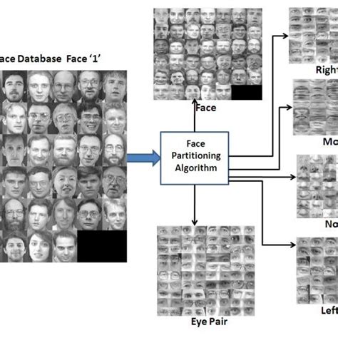 face partitioning algorithm which partitions the face image into
