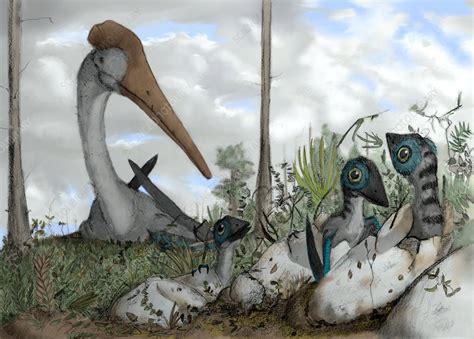 Azhdarchid Pterosaur Mother And Chicks Stock Image C0083780