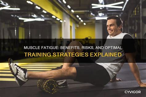 Muscle Fatigue Benefits Risks And Optimal Training Strategies