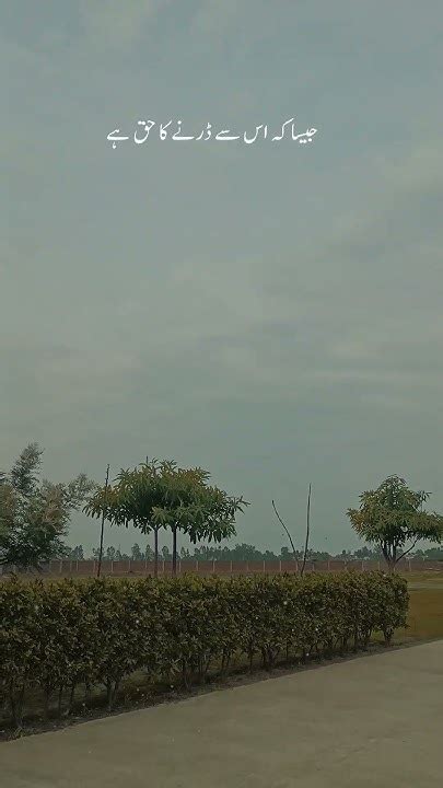 I Tried To Live By The Quran For A Day Shorts Shortfeeds Youtube