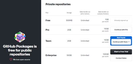 Introduction To Github Package Registry Canarys