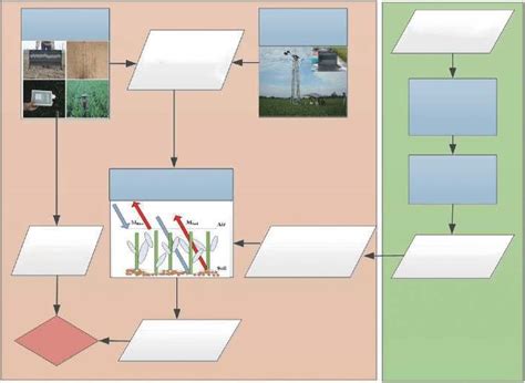 Main Procedure Of Rice Biomass Retrieval Download Scientific Diagram