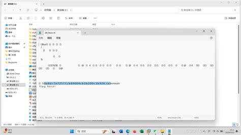 Ctf Web系列 信息漏洞ctfweb隐藏flag怎么找 Csdn博客 Ctf Web系列 信息漏洞ctfweb隐藏flag怎么找 Csdn博客