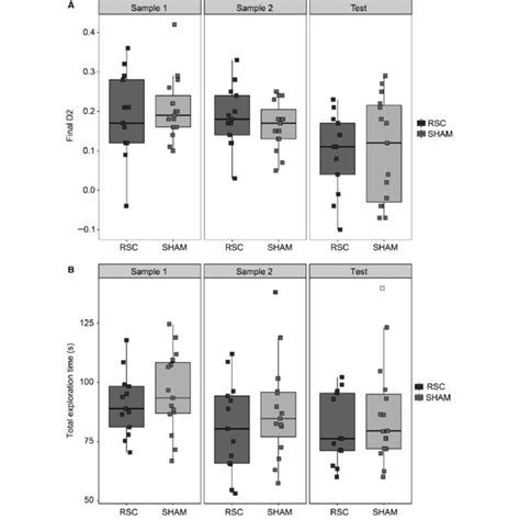 Location And Extent Of The Retrosplenial Cortex Lesions Experiments 1 Download Scientific