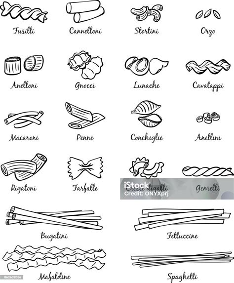 클래식 이탈리아 요리의 선형 사진입니다 파스타의 종류 파스타에 대한 스톡 벡터 아트 및 기타 이미지 파스타 컴퓨터 글자 마카로니 Istock