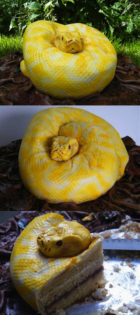 The Bessst Python Cake From An Ophidiophobic Baker Criminal Element