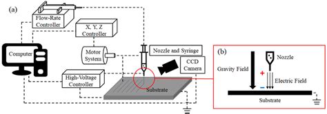 A System Schematic Diagram Of Ehd Ink Jet Printing B Principle Of Download Scientific