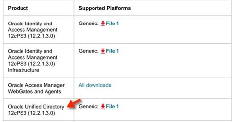 More Than Just Identity And Access Management Oud Oracle Unified Directory 12c Ps3 12 2 1 3 0