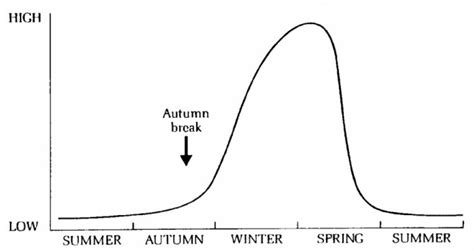 Roundworm Life Cycle And Larval Availability Wormboss