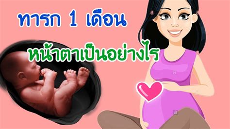 ทารกในครรภ์ 1 เดือนหน้าตาเป็นอย่างไร ทารกในครรภ์ 1 เดือน Youtube