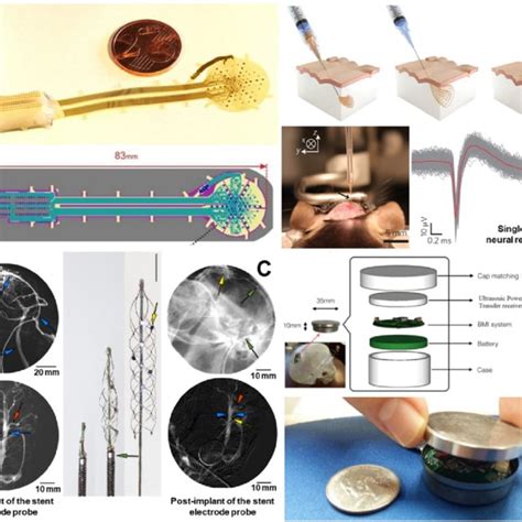 Pdf Implantable Neural Probes For Brain Machine Interfaces Current Developments And Future