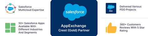 Hire Certified Salesforce Developers India Salesforce Expert Usa