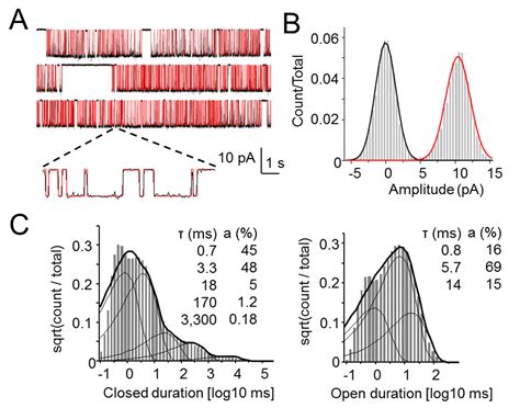 One Channel Cell Attached Patch Clamp Recording Scientific Article Protocol JoVE