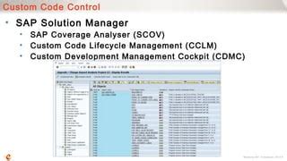 Managing SAP Custom Code PPT
