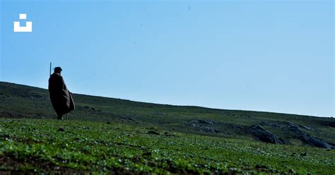 코트를 입은 들판에 서있는 사람 사진 Unsplash의 무료 길란 지역 이미지