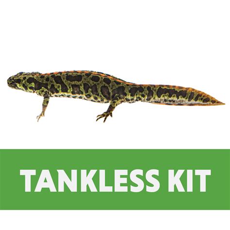 Aquatic Salamander And Newt Habitat Tankless Kit 10 Gallon