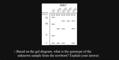 Sickle Cell Anemia Detection Simulation Pcr