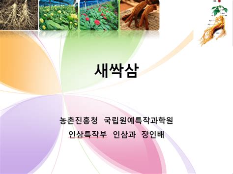 새싹삼 재배방법 네이버 블로그