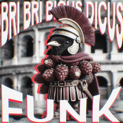 Bri Bri Bicus Dicus Funk Slowed Youtube Music