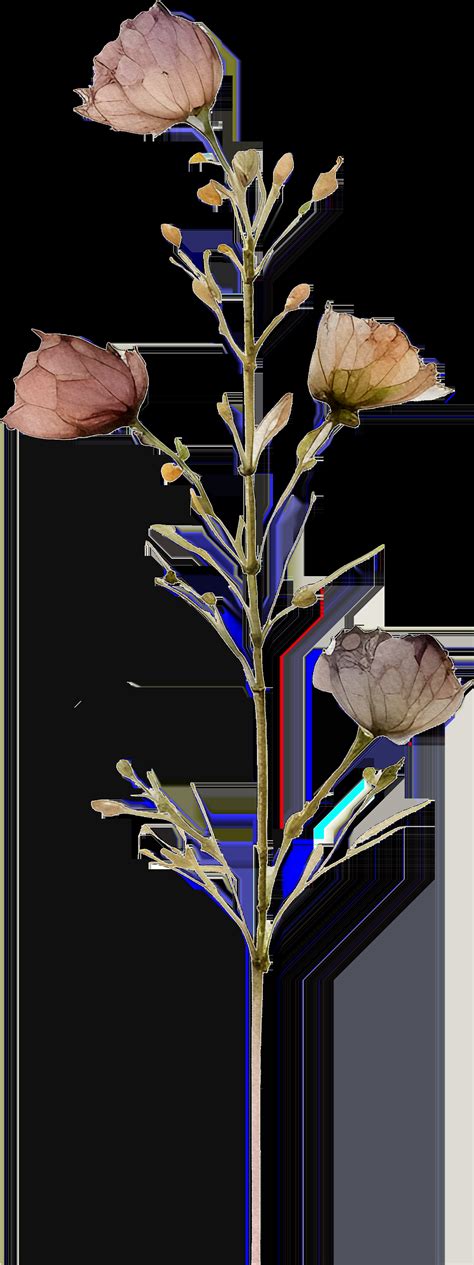 Global Cobalt Mining And Processing Environmental And Social Impacts — More Than Sustainability