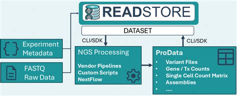 Managing Processed Data Tutorial Part 5 Evobyte Data Science And